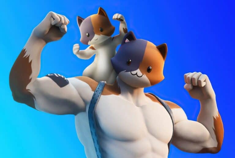 Kit Fortnite Skin Guide: Meowscles' Son Explained - Fort Fanatics